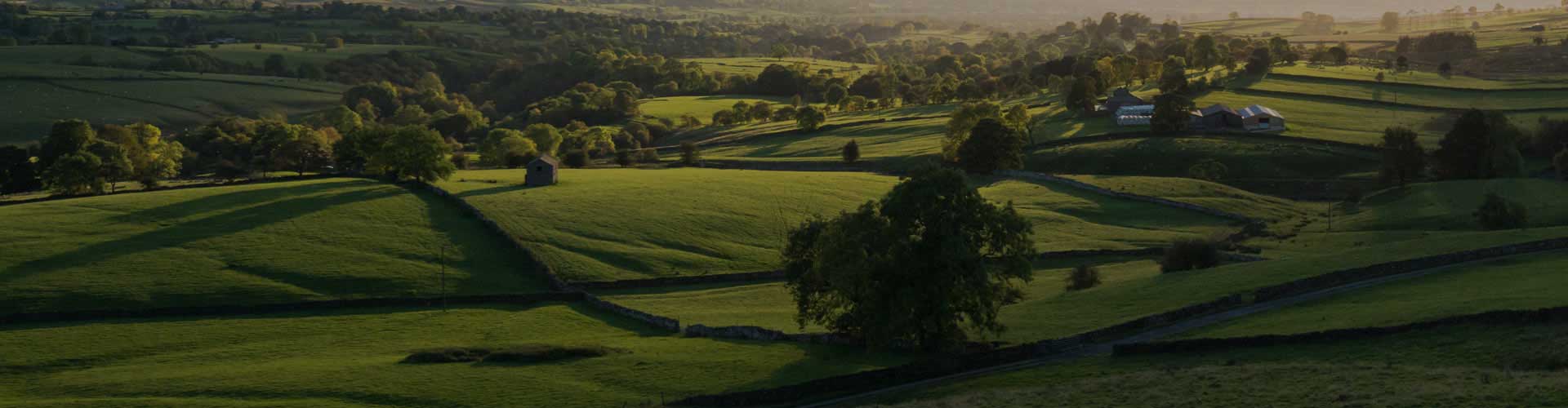 SCC Spain - Mayor grupo independiente de TI en Europa